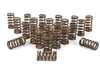 FER-HPVSK-N55 - Ferrea High Performance Valve Spring Kit for BMW N55 ...